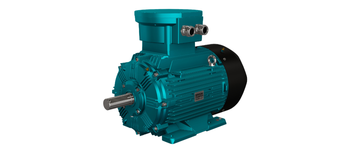 WEX3 series low voltage induction motors -Motors for explosive atmospheres-Wolong