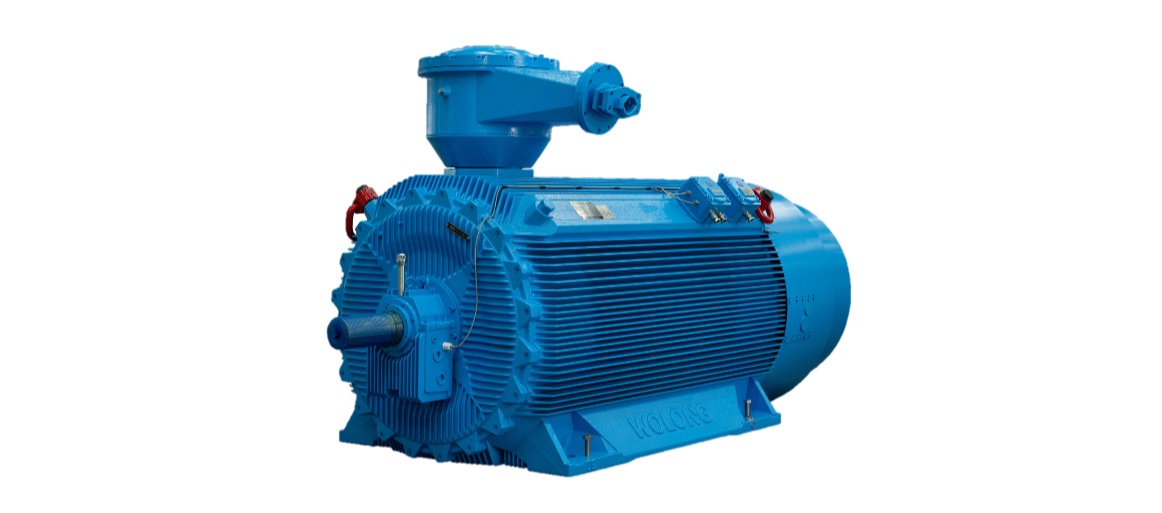 TEFC series -Three-phase induction motors-Wolong